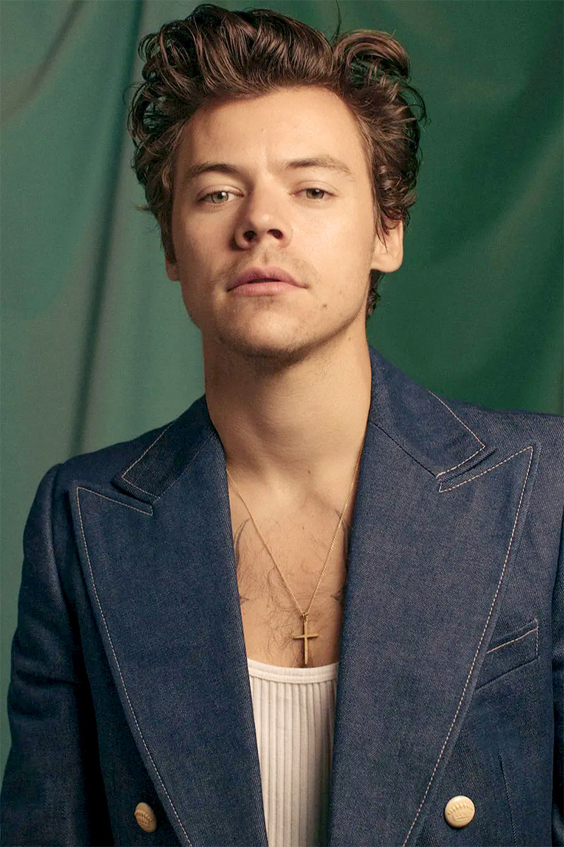 Harry Styles Biografia Storia Carriera Vita Privata E Curiosit 